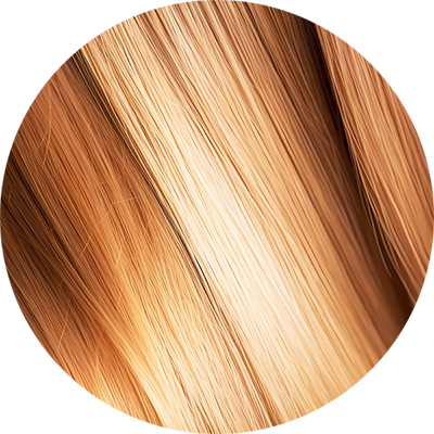 Ingredientes Essentialis: Queratina | Essentialis